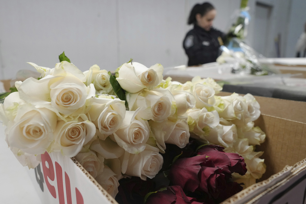 Roses are red, violets are blue, 940 million flowers are traveling ...