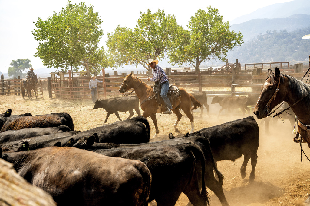 Crews struggle to contain massive California wildfire that’s injured 3 ...